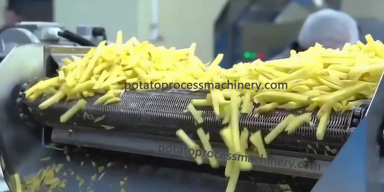 fully automatic french fries production line for Customer in Turkey ...
