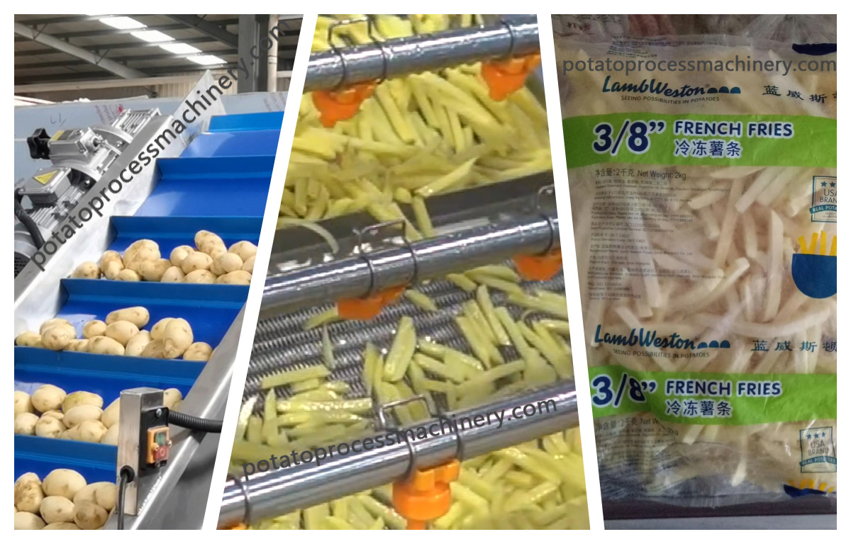 how to start making french fries business with manufacturing machinery ...